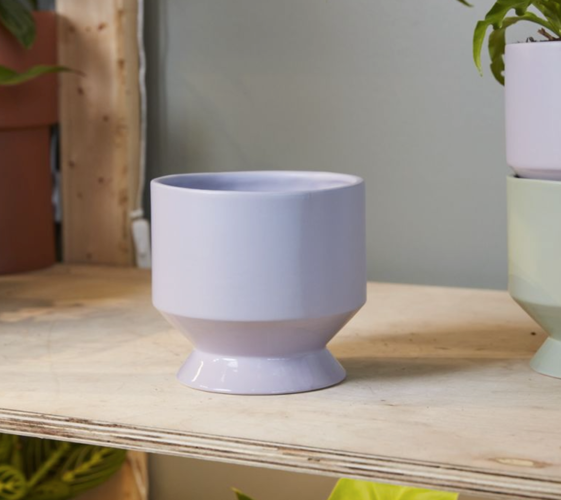 Pasadena Pot – Crooked Roots