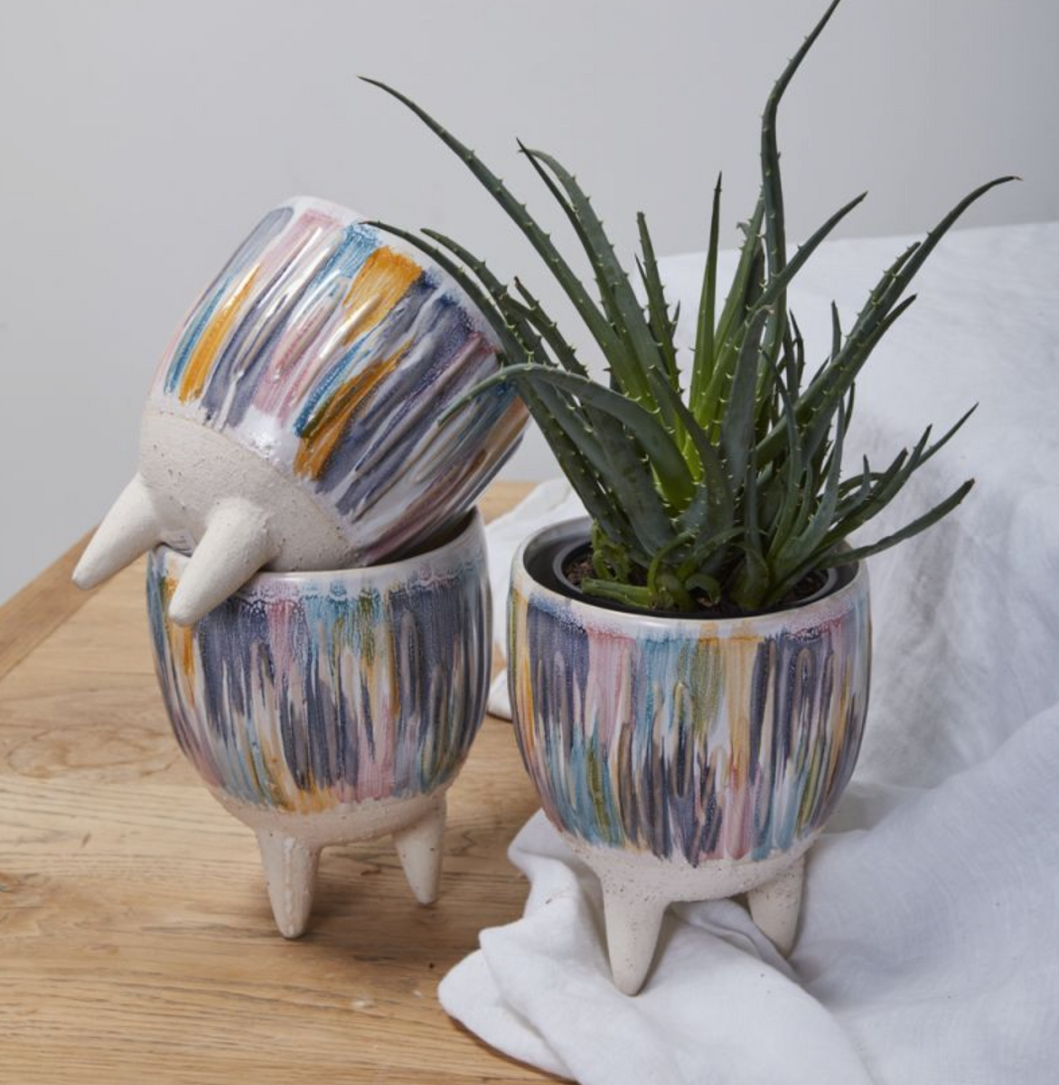 Oasis Pot – Crooked Roots